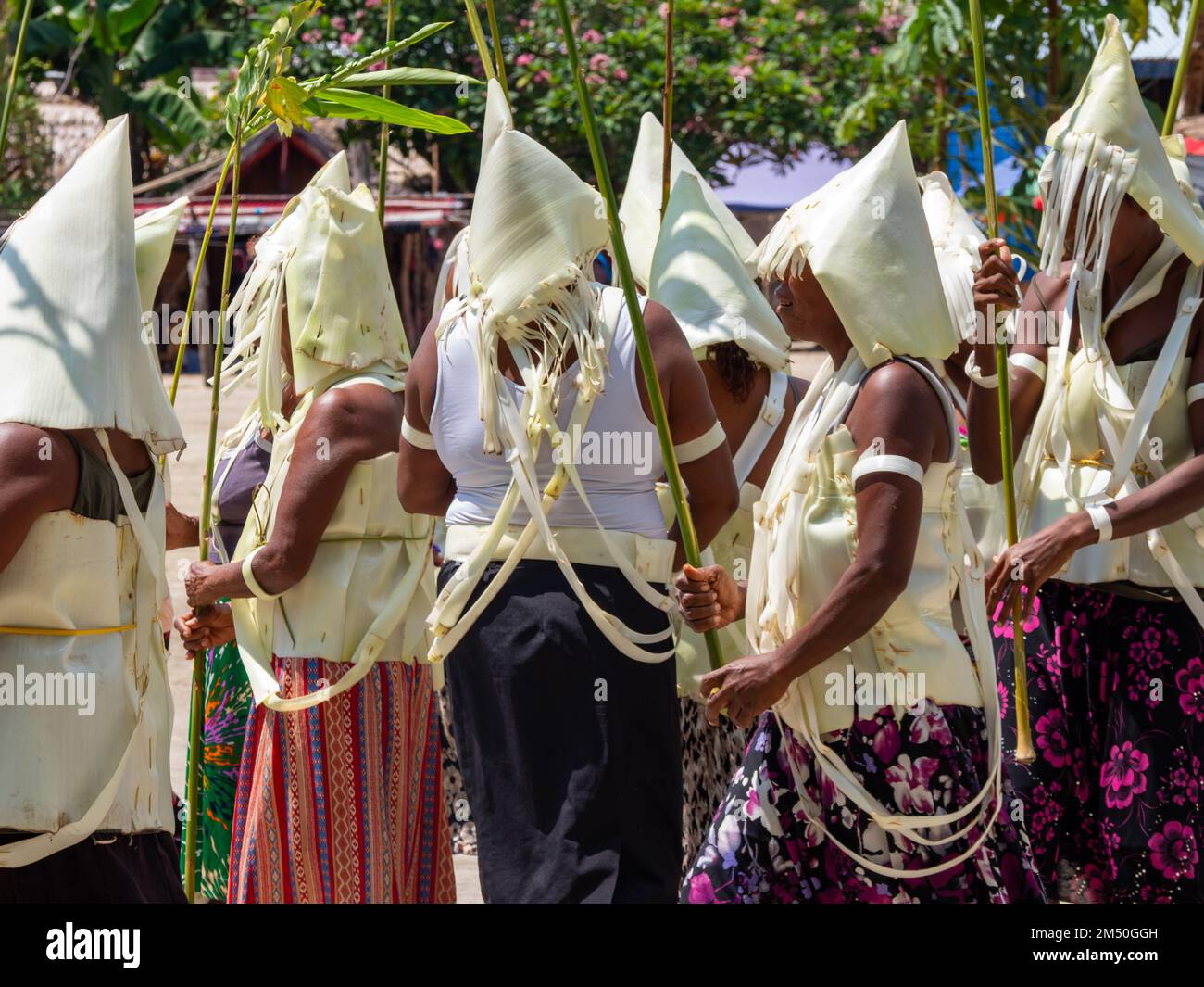 Custom dance at Owaraha, or Santa Ana, Solomon Islands Stock Photo - Alamy