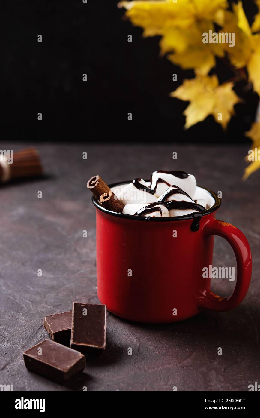 Red cup of aroma hot chocolate with marshmallows and cinnamon and ...