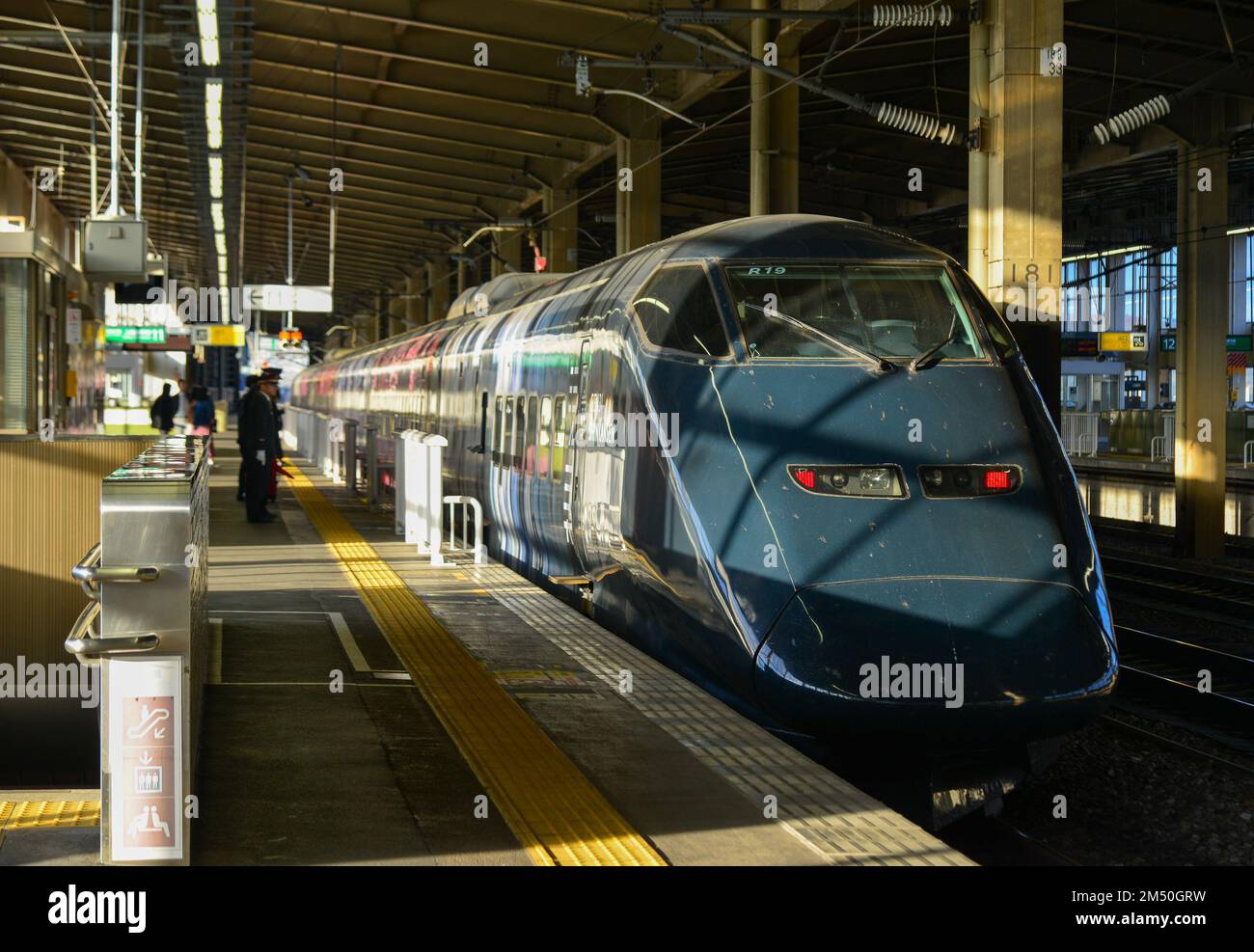 Gunma, Japan - Nov 9, 2019. The Genbi Shinkansen train at railway ...