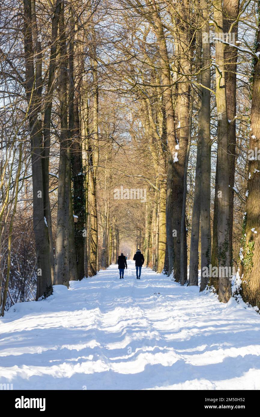 A vertical shot of two persons walking in a snowy forest Stock Photo ...