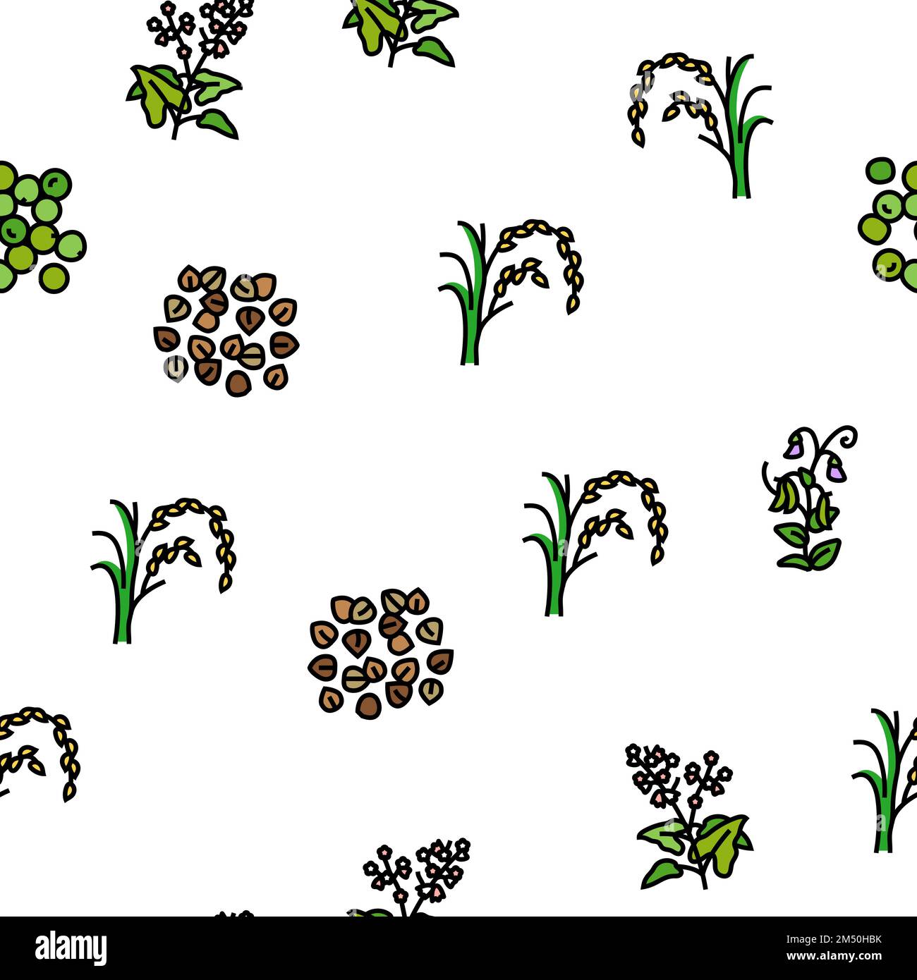 cereal plant healthy food vector seamless pattern Stock Vector Image ...