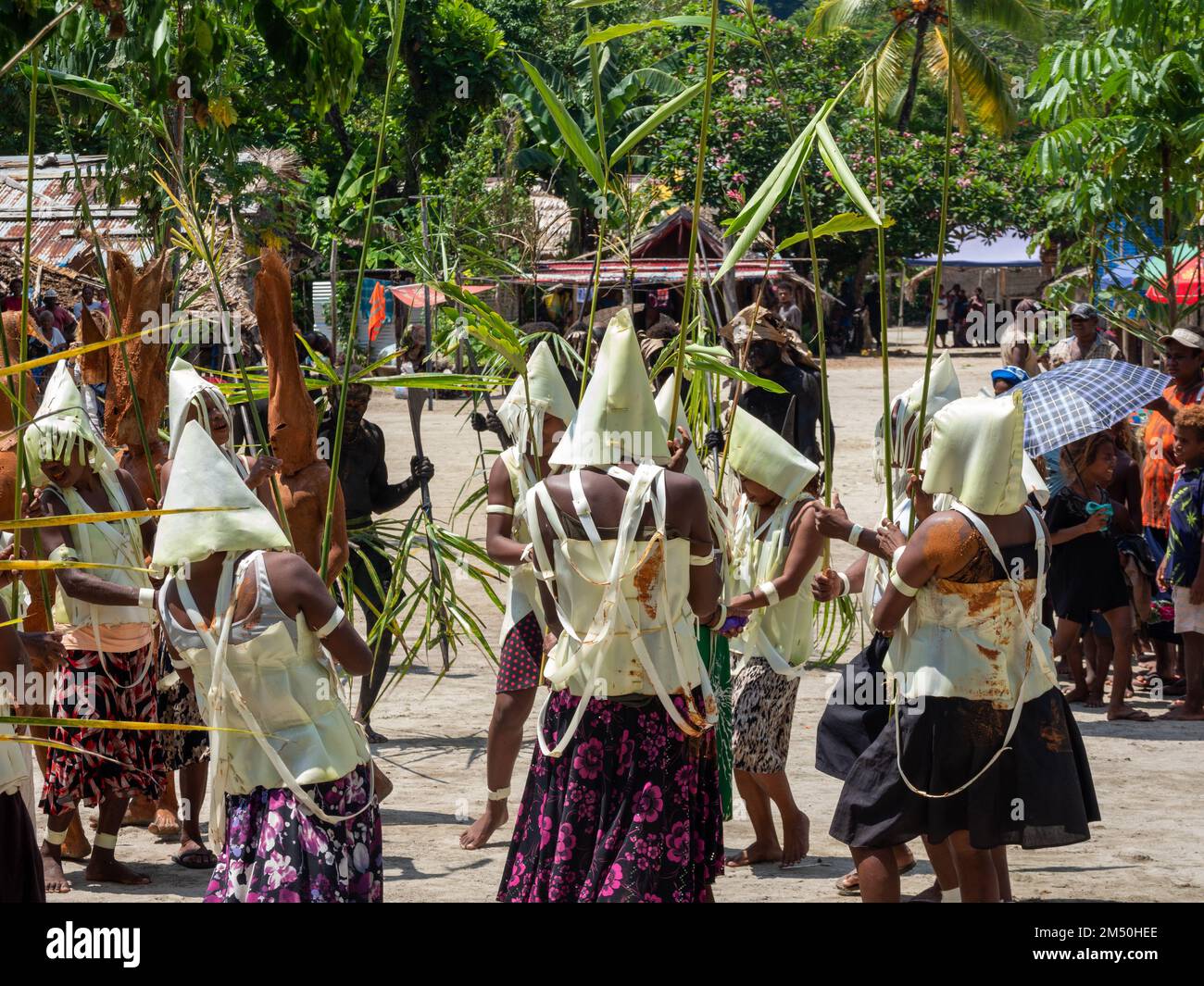 Custom dance at Owaraha, or Santa Ana, Solomon Islands Stock Photo - Alamy