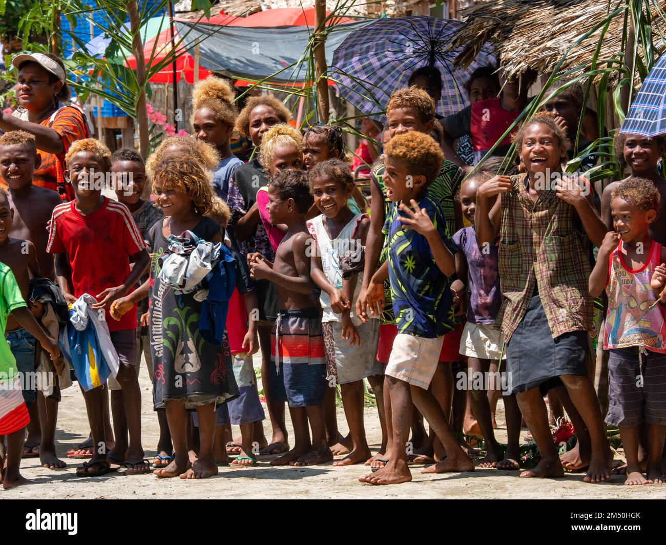 Custom dance at Owaraha, or Santa Ana, Solomon Islands Stock Photo - Alamy