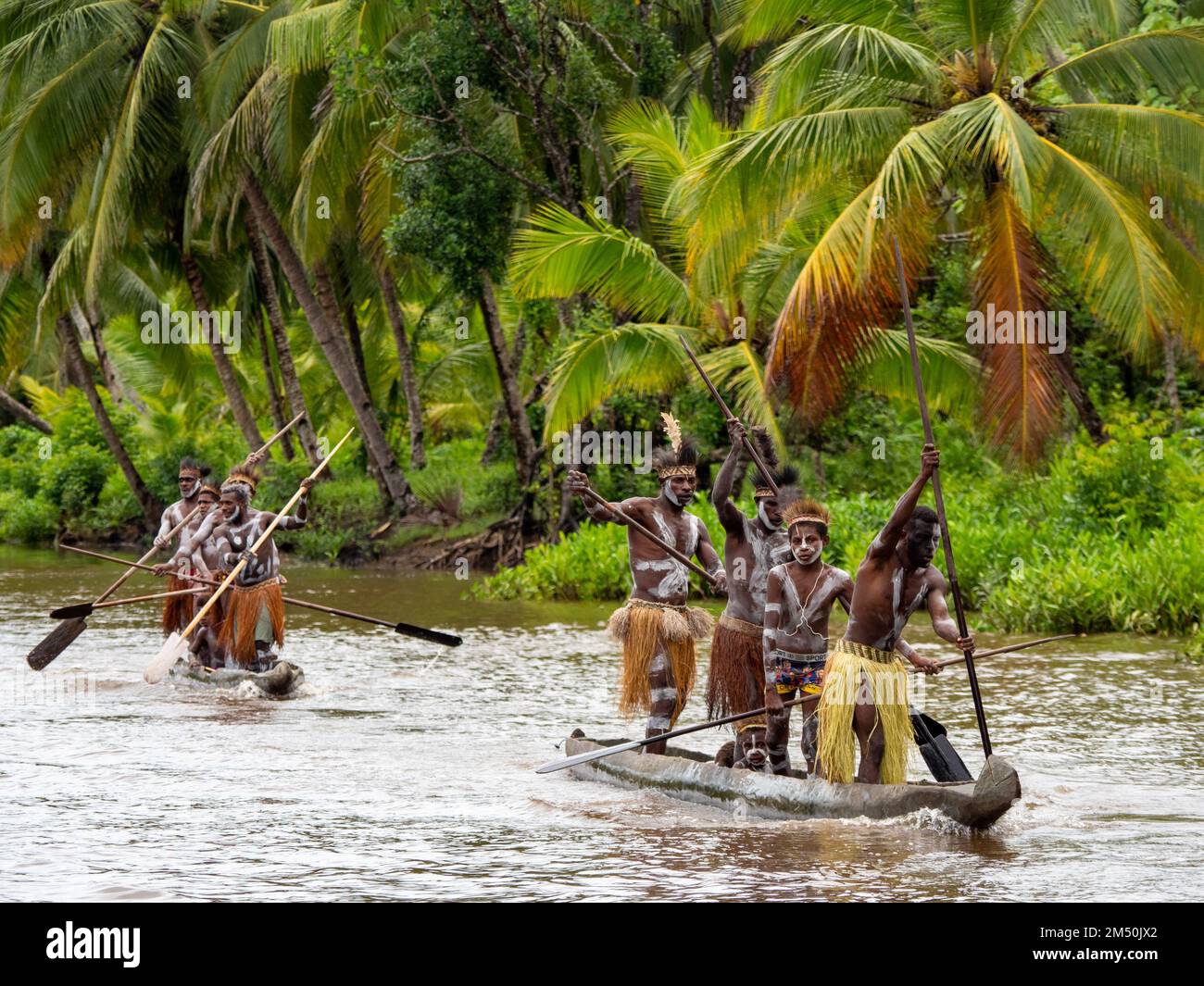 Canoe welcome to the Pem Village in the Asmat region of South Papua ...