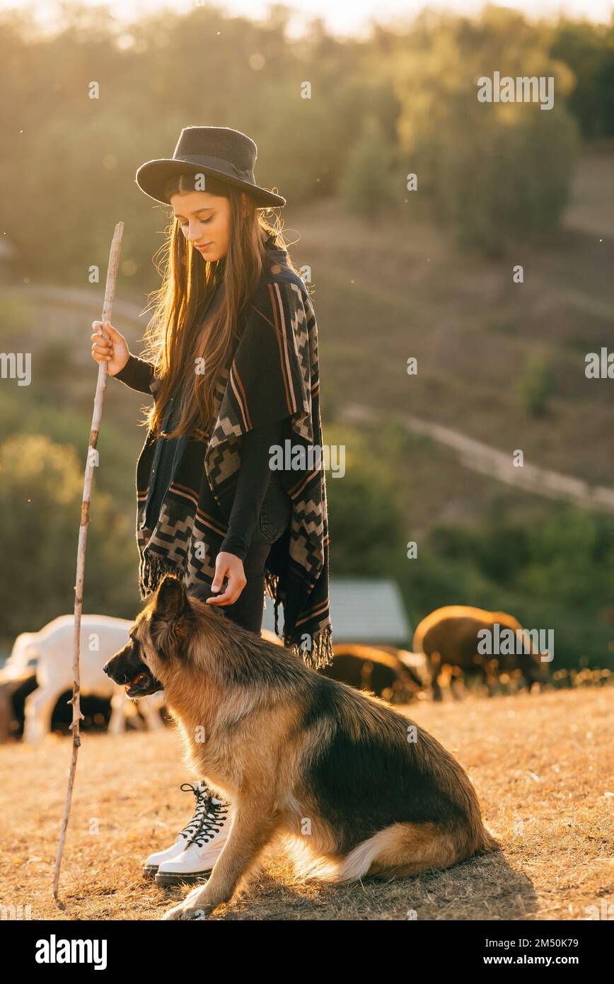 Female shepherd with a dog grazes a flock on the lawn Stock Photo - Alamy