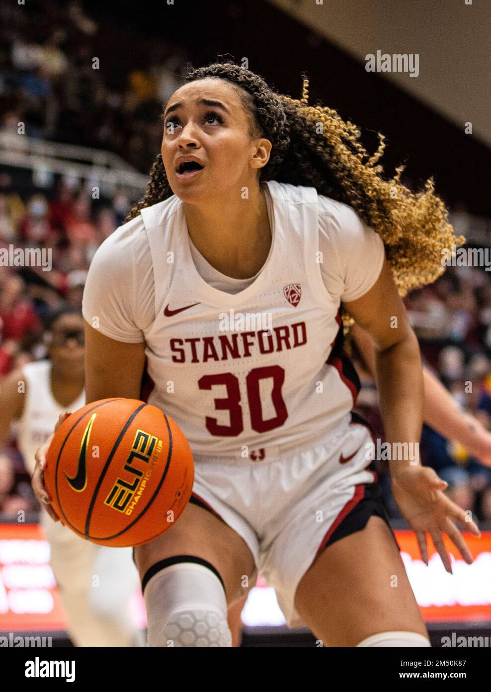 2022 0457 jpg hi-res stock photography and images - Alamy