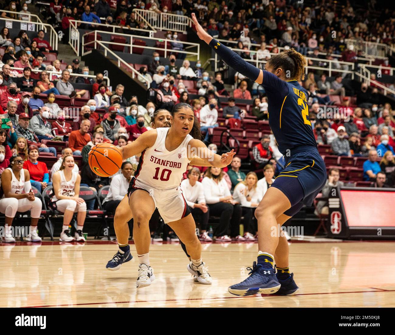 2022 0484 jpg hi-res stock photography and images - Alamy