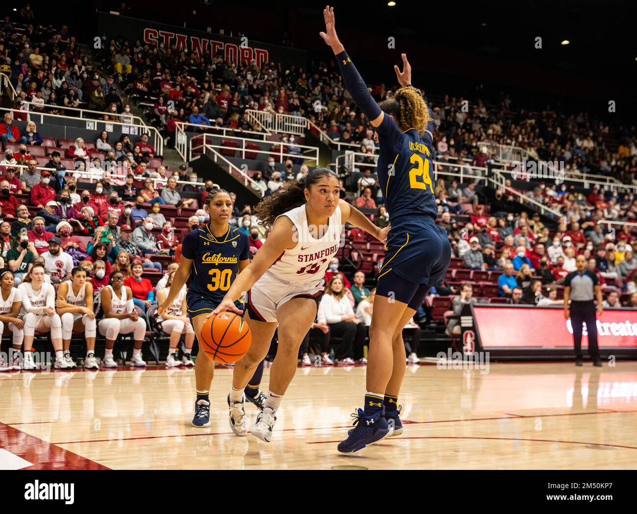 2022 0487 jpg hi-res stock photography and images - Alamy