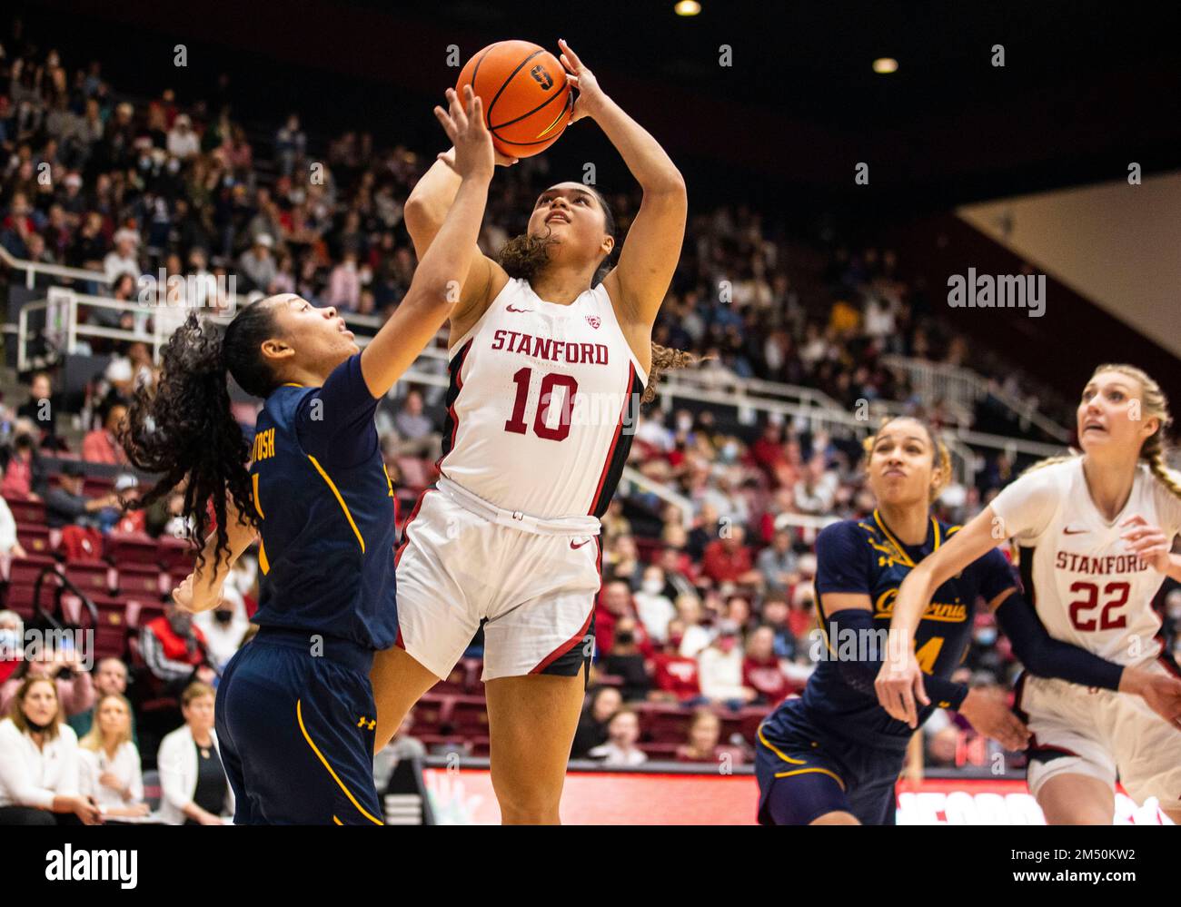 Lepolo hi-res stock photography and images - Alamy