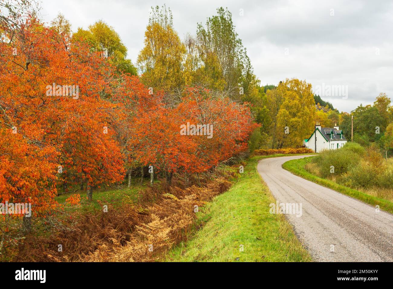 Strathconon, Scotland, October 19 2022. Autumn in the beautiful, remote ...