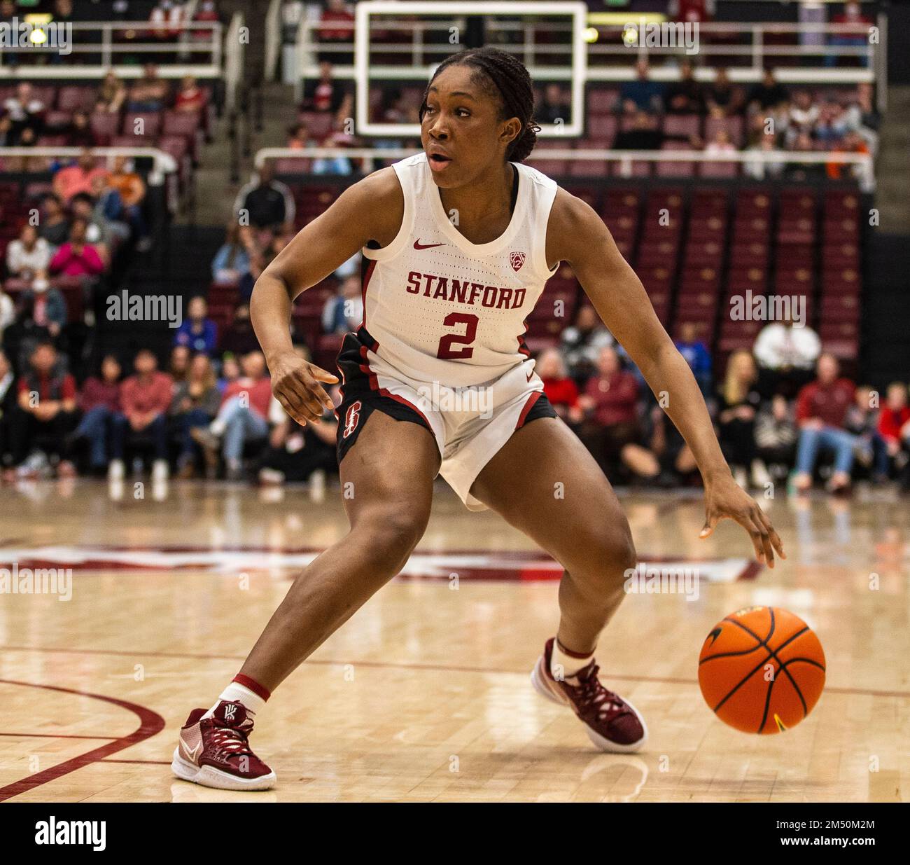 2022 0577 jpg hi-res stock photography and images - Alamy