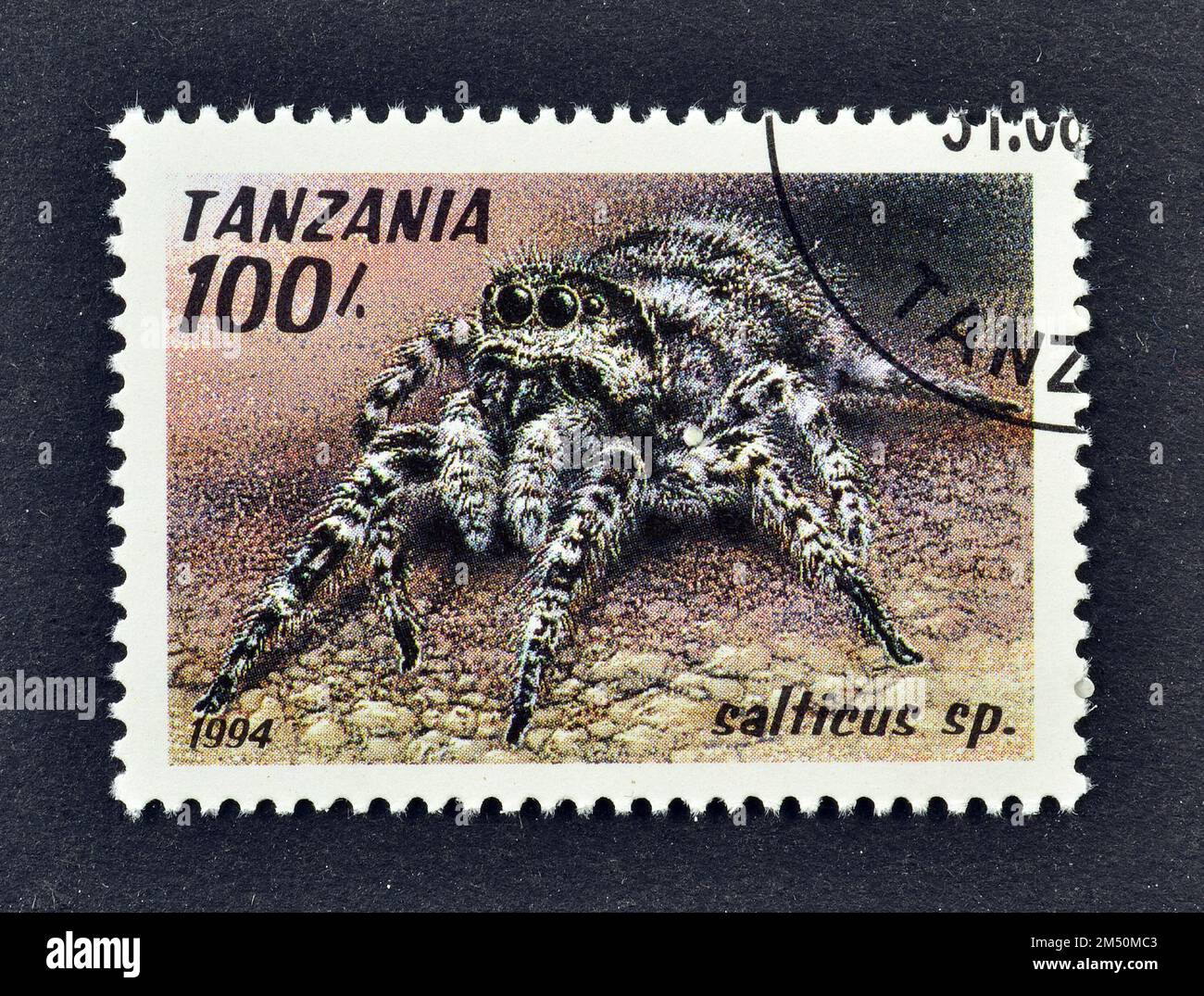 Cancelled postage stamp printed by Tanzania, that shows Jumping Spider ...