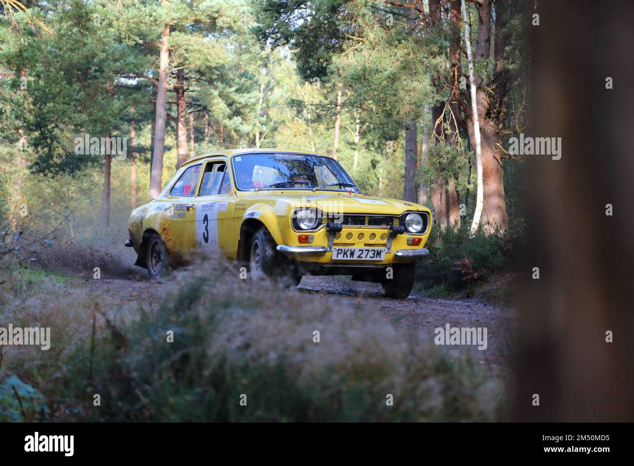 Yellow Ford Escort Mk I at the Camberley Rally 2013, Surrey, UK Stock ...