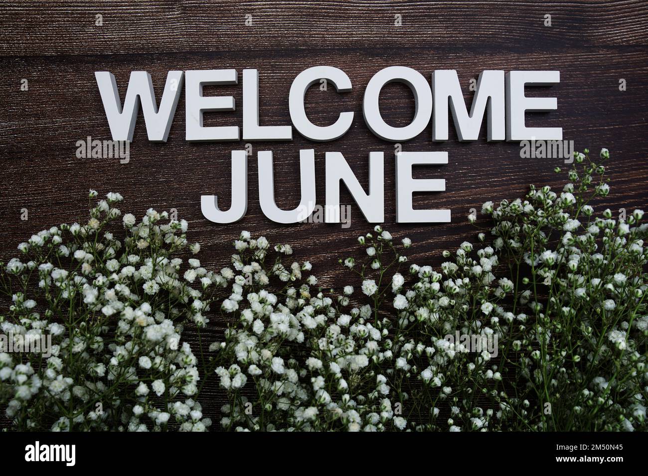 Welcome June alphabet letters with flowers on wooden background Stock ...