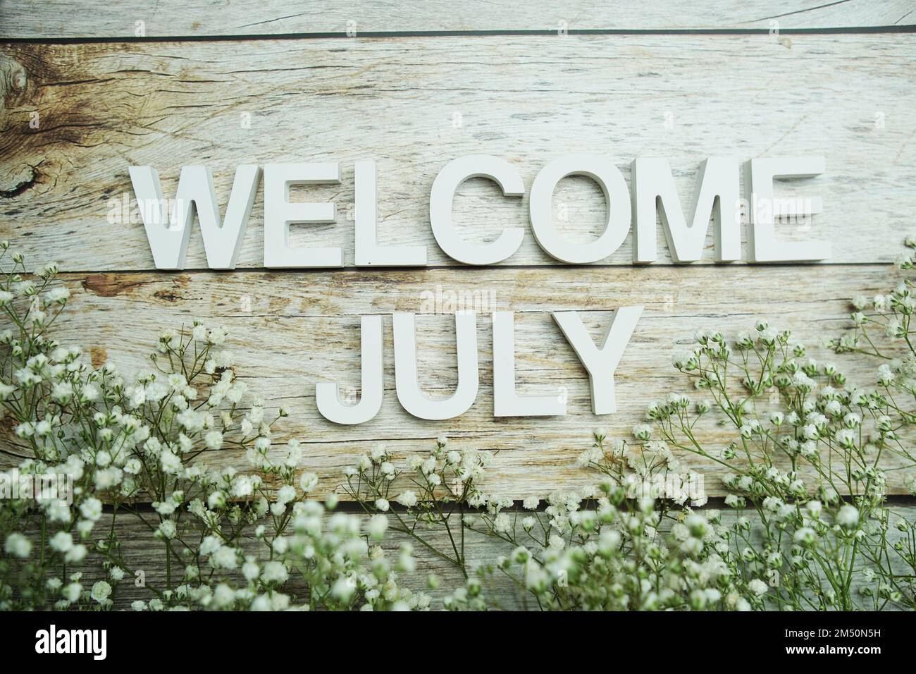Welcome July alphabet letters with flowers on wooden background Stock ...