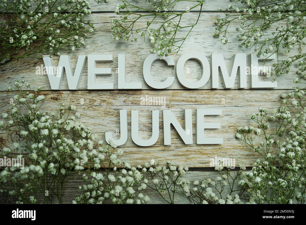 Welcome June alphabet letters with flowers on wooden background Stock ...