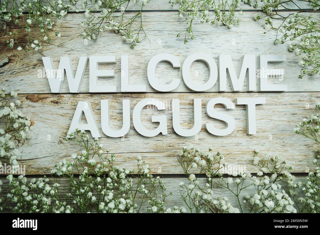 Welcome August alphabet letters with flowers on wooden background Stock ...