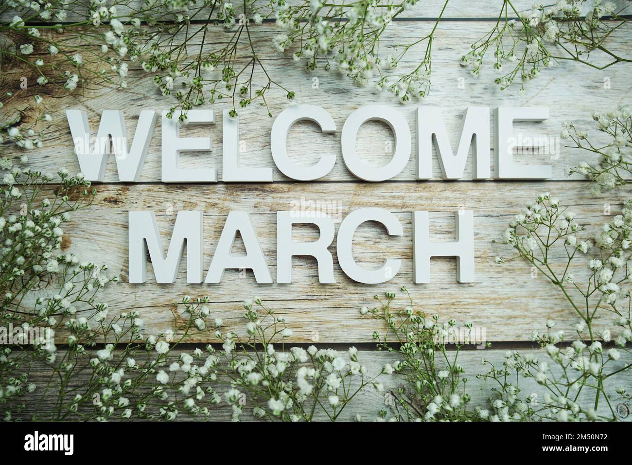 Welcome March alphabet letters with flowers on wooden background Stock ...