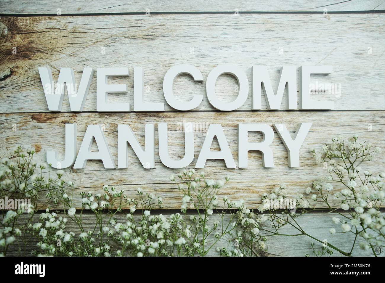 Welcome January alphabet letters with flowers on wooden background ...
