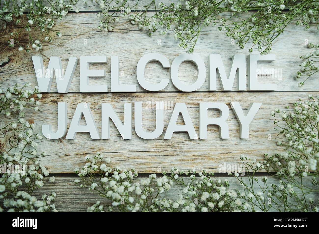 Welcome January alphabet letters with flowers on wooden background ...