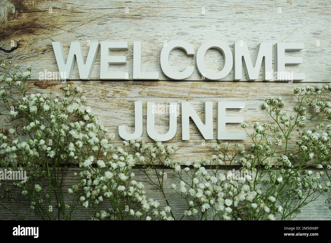 Welcome June alphabet letters with flowers on wooden background Stock ...