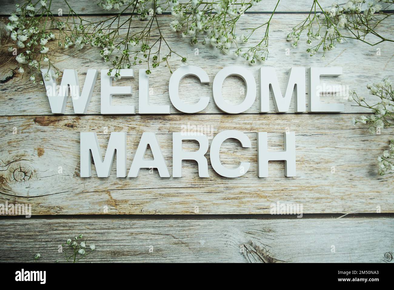 Welcome March alphabet letters with flowers on wooden background Stock ...