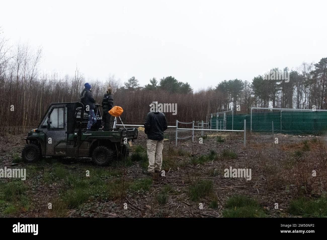 Conservation team waiting for emergence of bull bison from corral ...