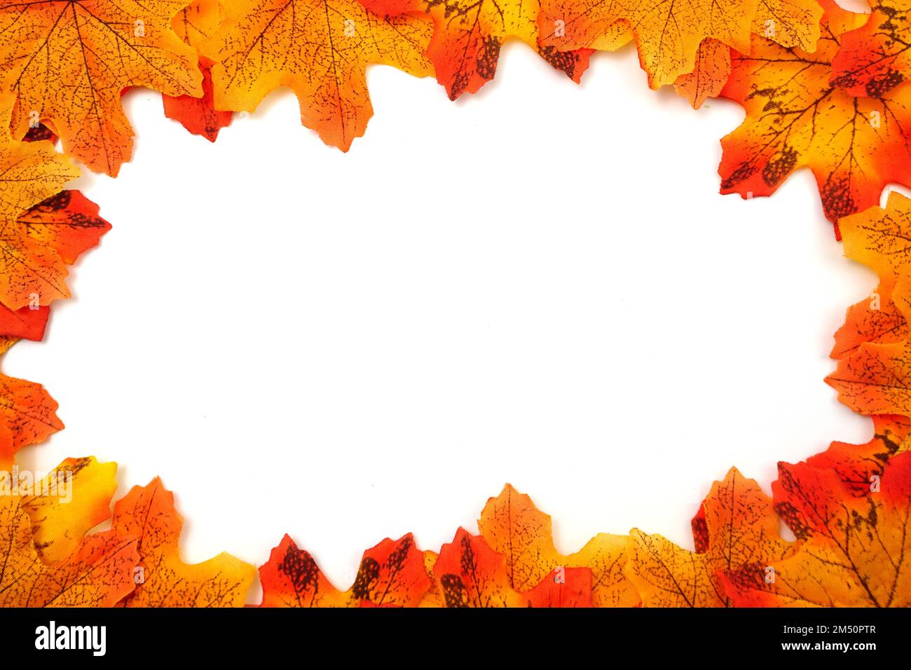 Orange Maple Autumn leaf border with space copy over on white ...