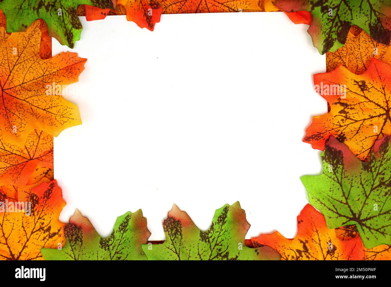 Orange and Green Maple Autumn leaf border with space copy over on white background Stock Photo ...