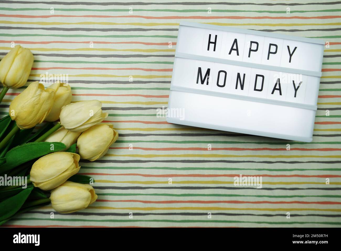 Top view Happy Monday Text in Light box flat lay with tulip flower ...