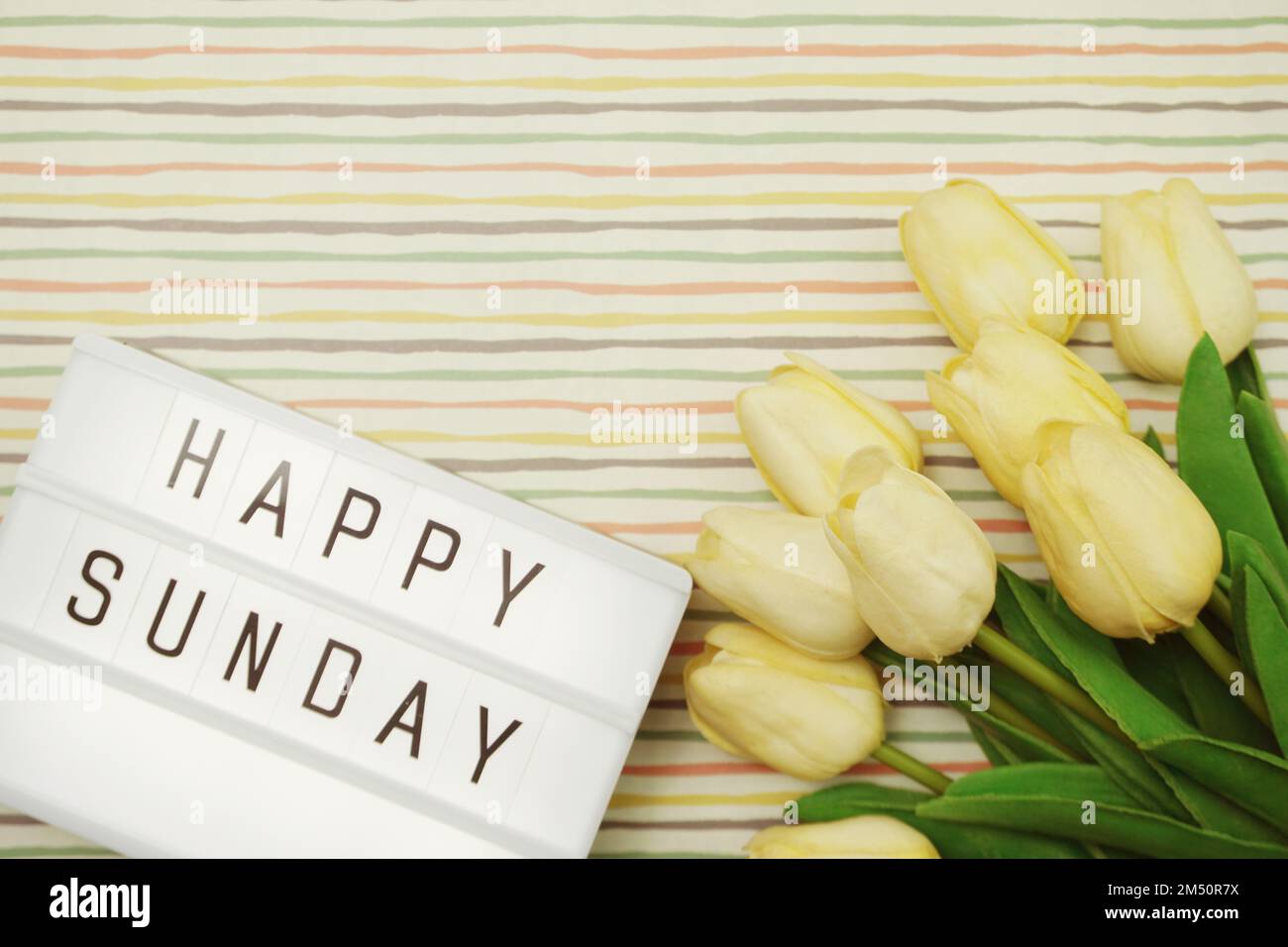 Top view Happy Sunday Text in Light box flat lay with tulip flower ...