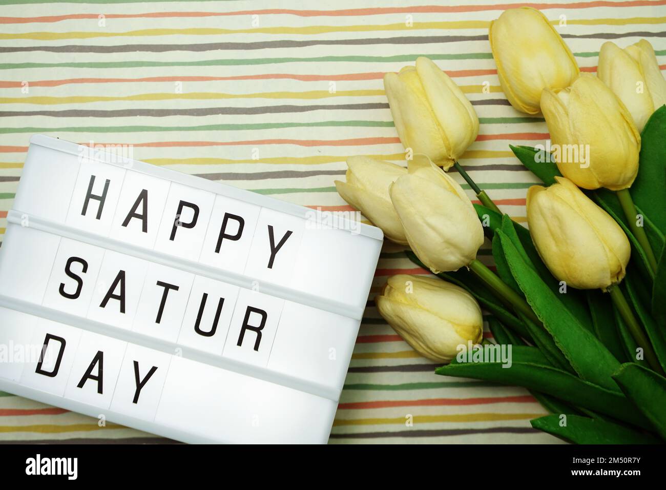 Top view Happy Saturday Text in Light box flat lay with tulip flower ...