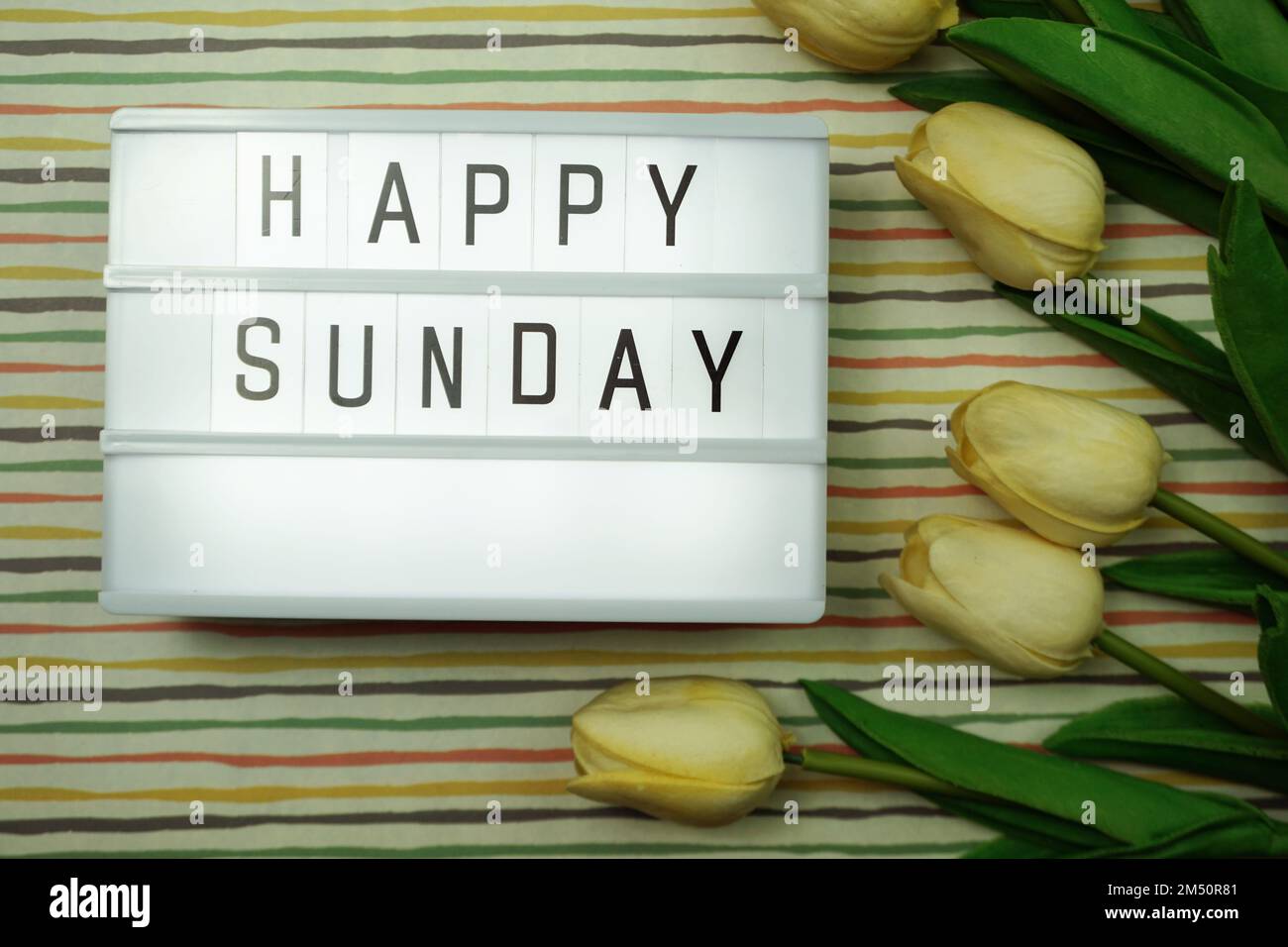 Top view Happy Sunday Text in Light box flat lay with tulip flower ...