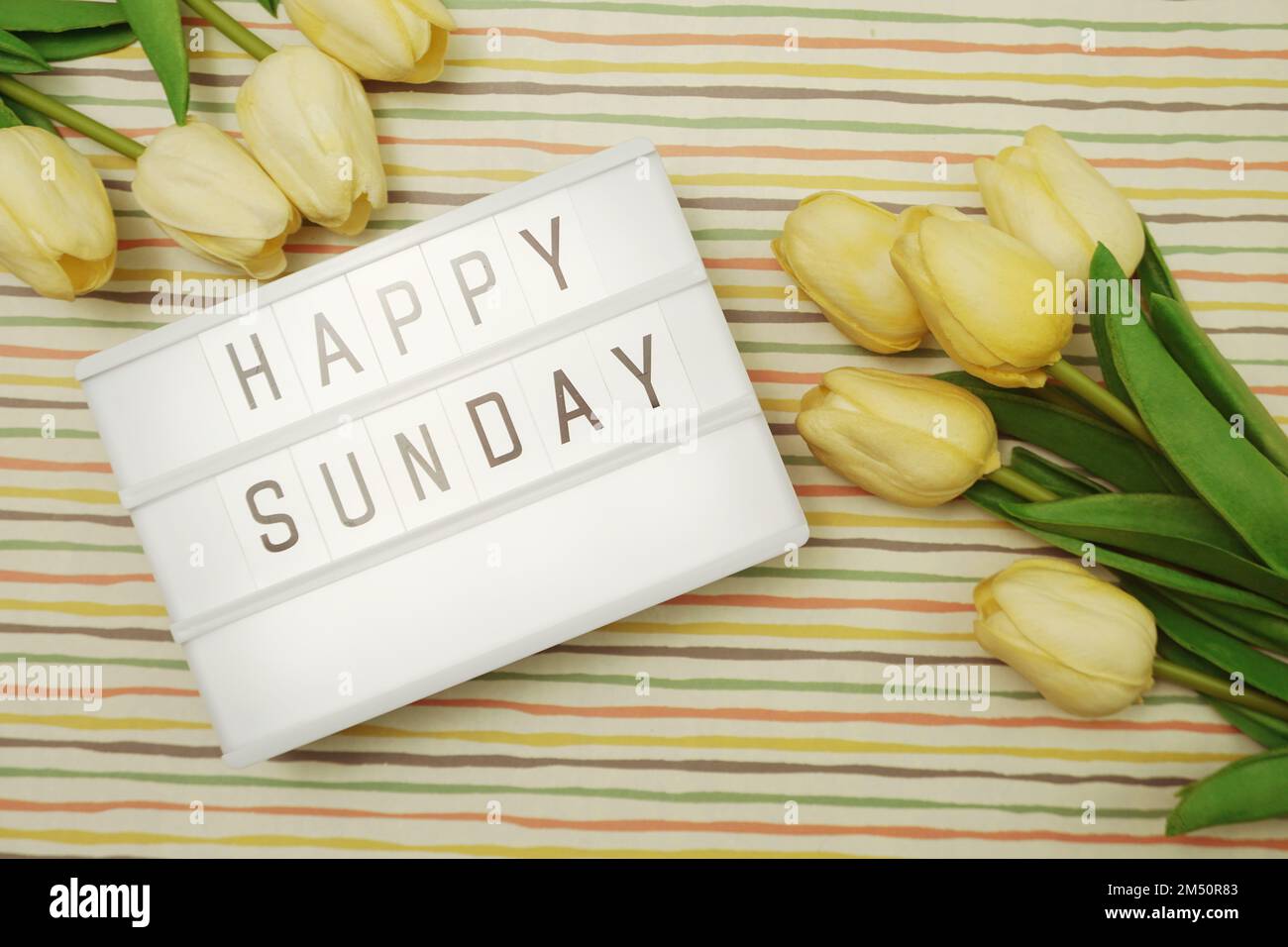 Top view Happy Sunday Text in Light box flat lay with tulip flower ...