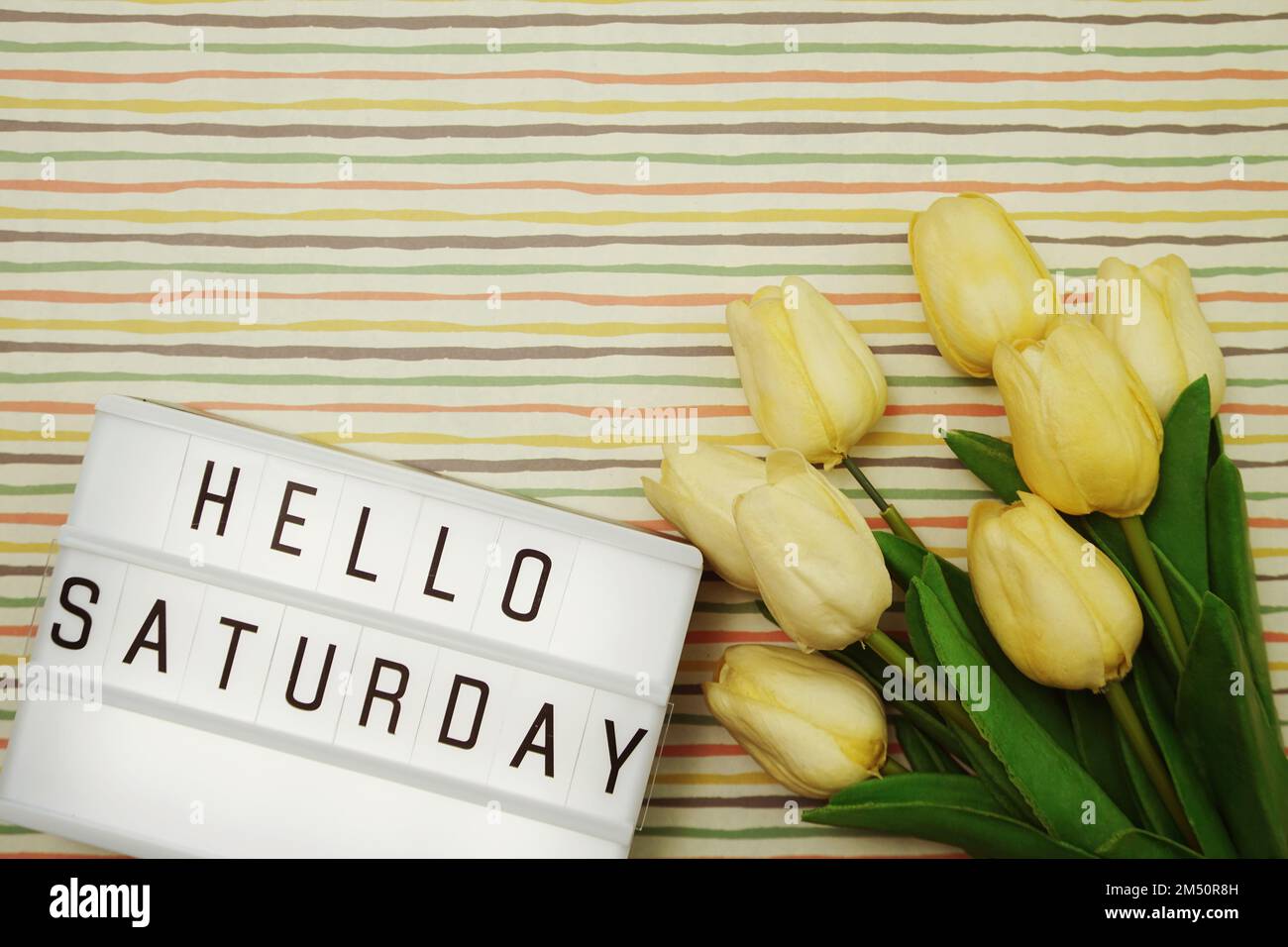 Top view Happy Saturday Text in Light box flat lay with tulip flower ...