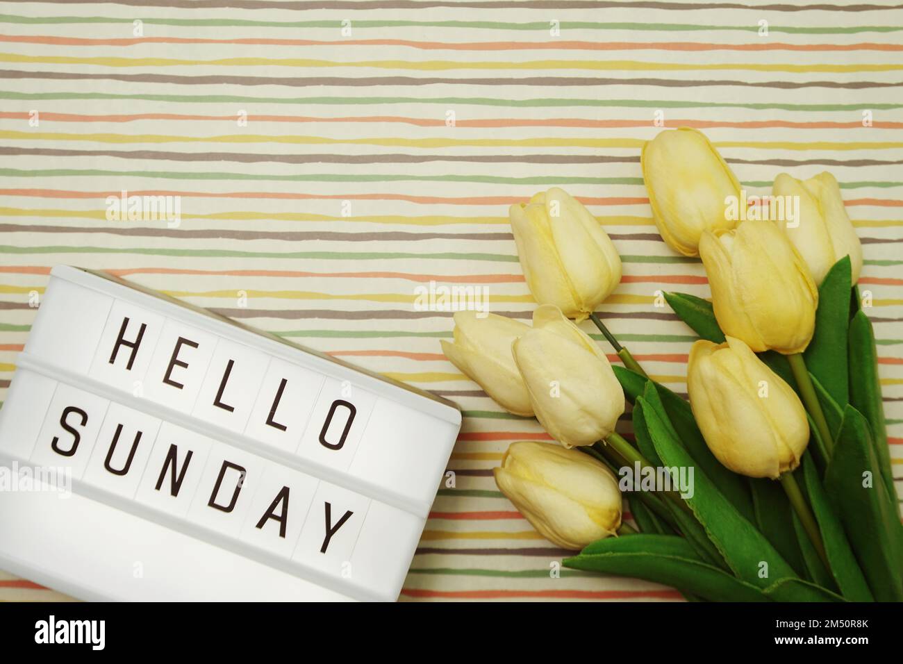 Top view Happy Tuesday Text in Light box flat lay with tulip flower ...