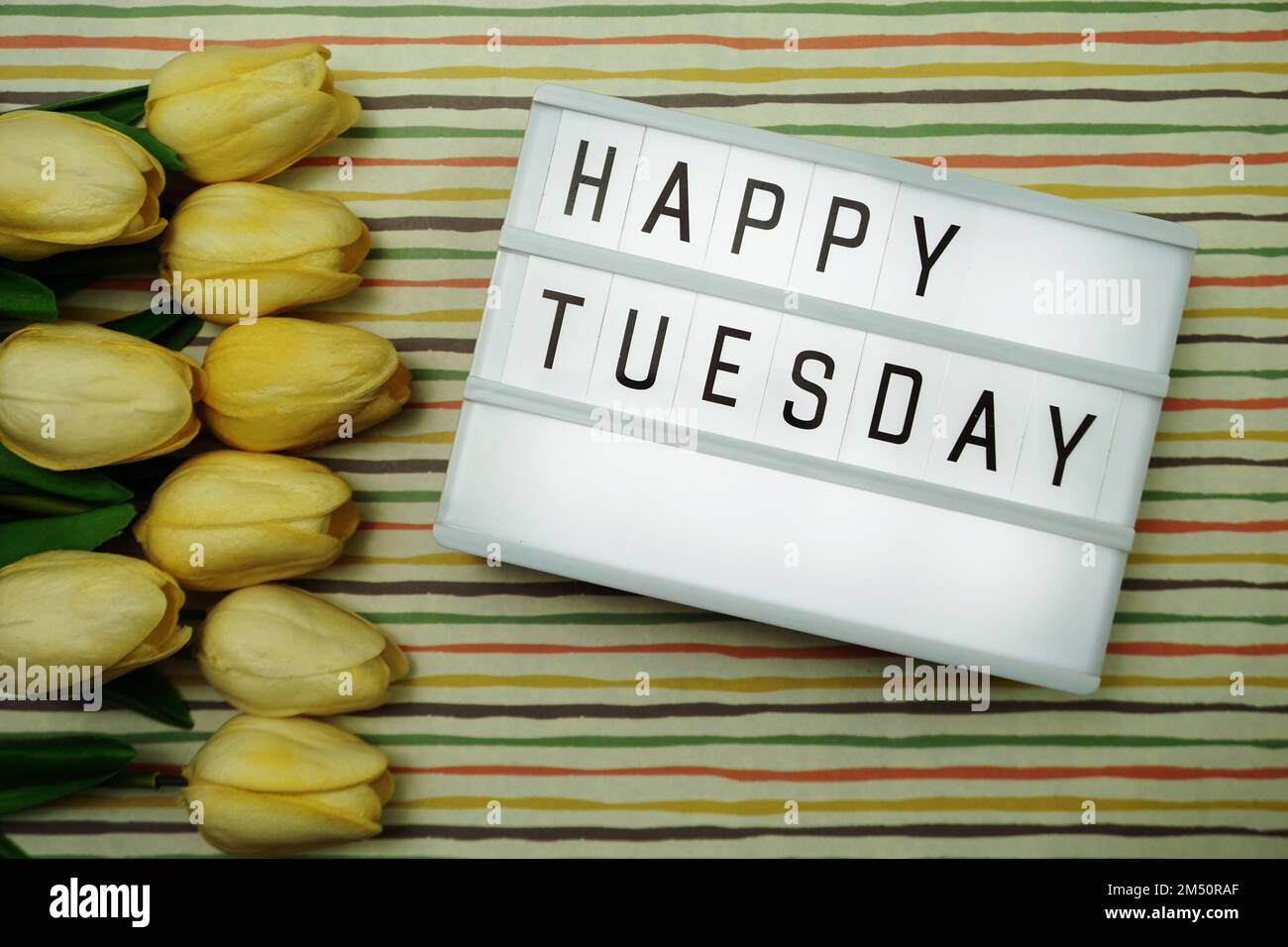 Happy Tuesday text in lightbox with space copy flat lay on colorful ...