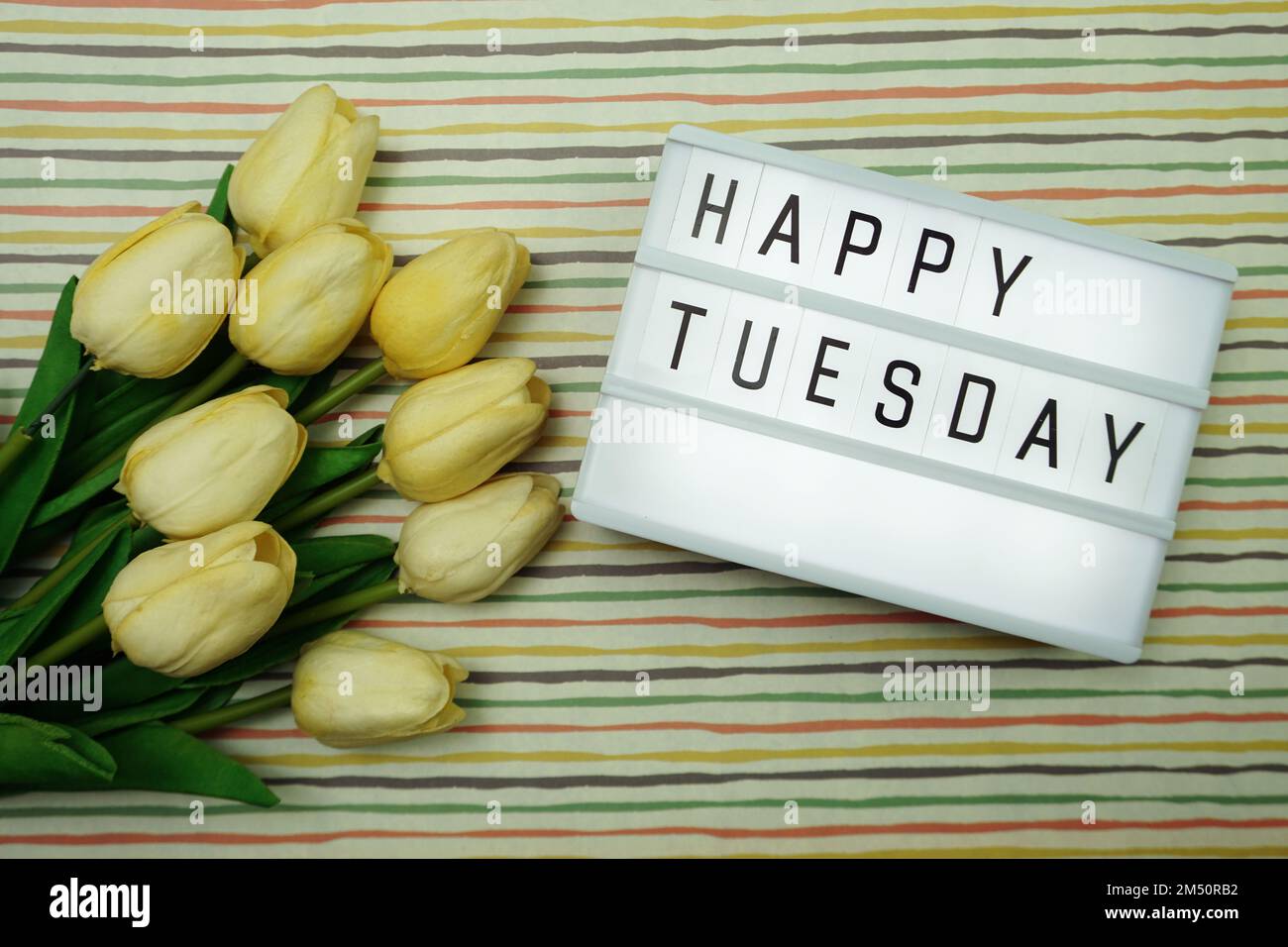 Happy Tuesday text in lightbox with space copy flat lay on colorful ...