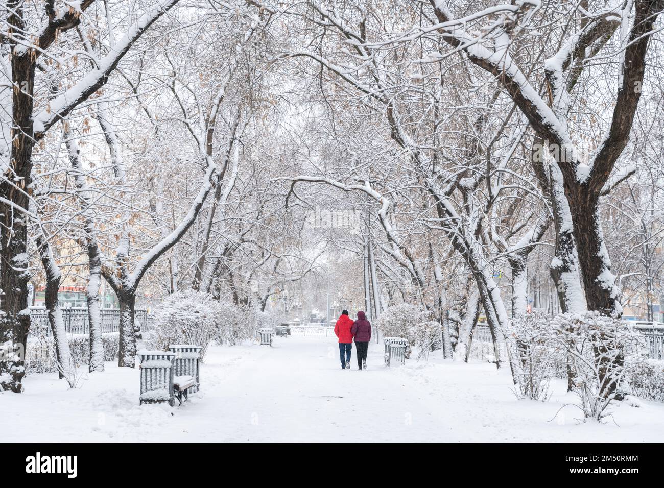 Man covered in christmas lights hi-res stock photography and images - Alamy