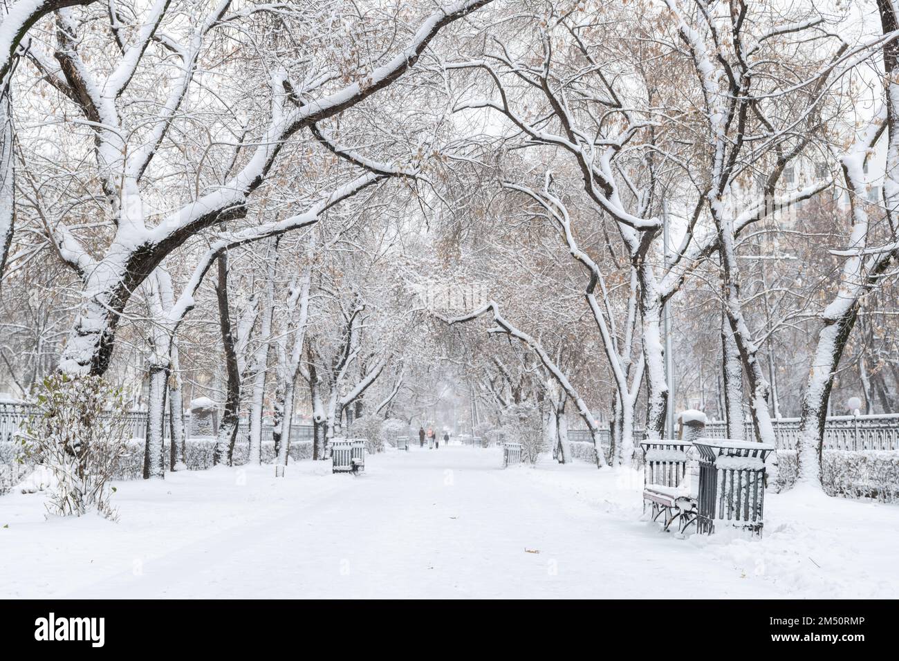 snow-covered city in winter. a snowy alley Stock Photo - Alamy