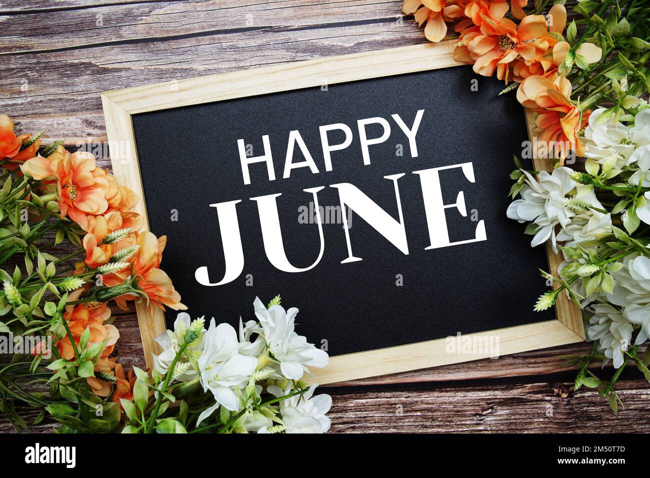 Best flower logo hi-res stock photography and images - Alamy