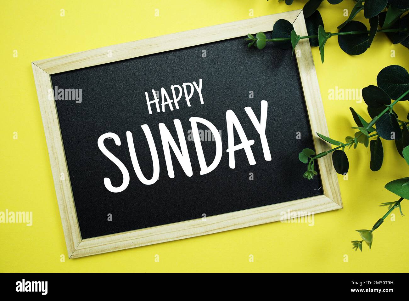 Enjoy Sunday Wallpaper