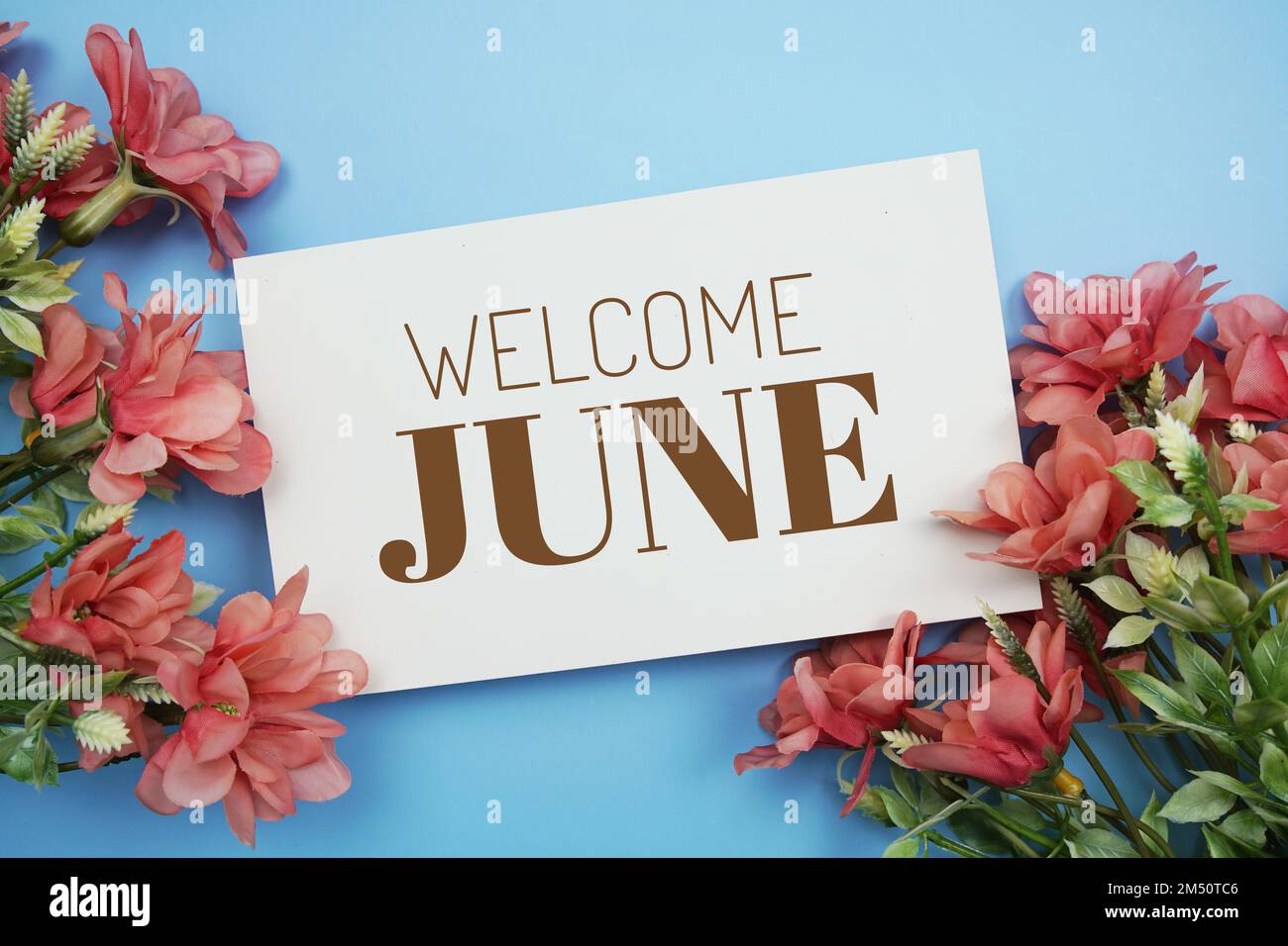 Welcome June text message with flower decoration on blue background ...