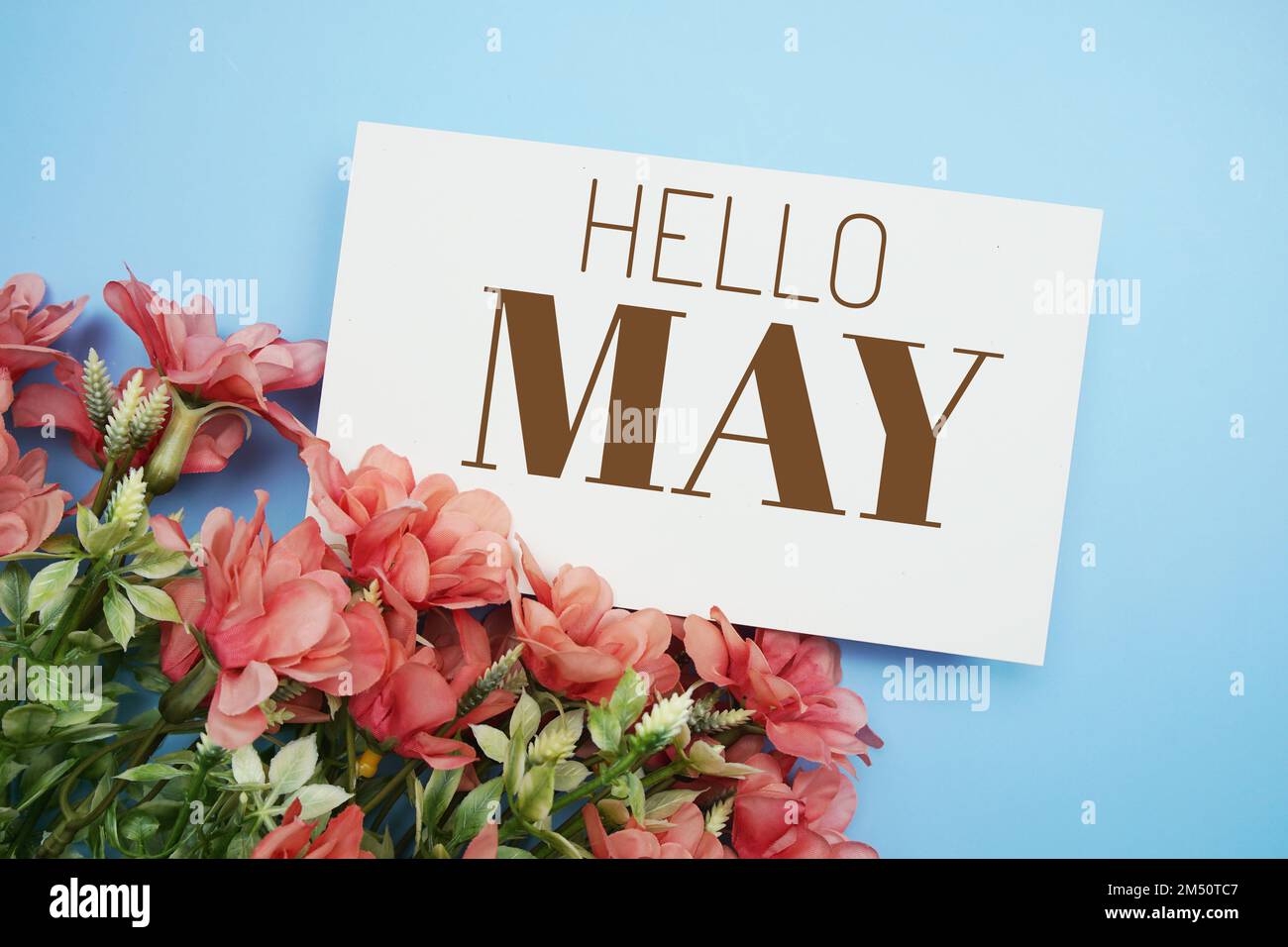 Hello May text message with flower decoration on blue background Stock ...