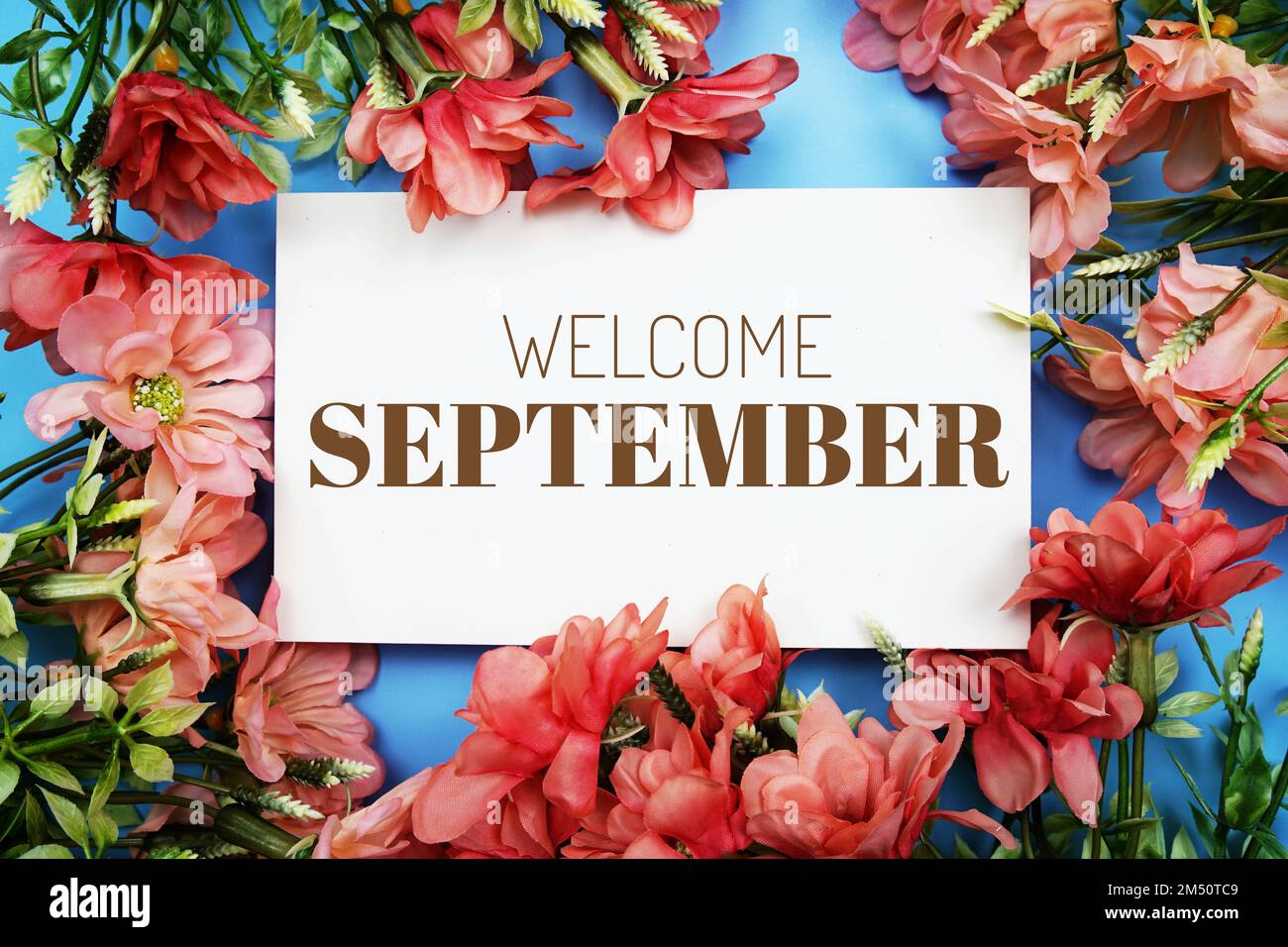 Welcome september text message hi-res stock photography and images - Alamy