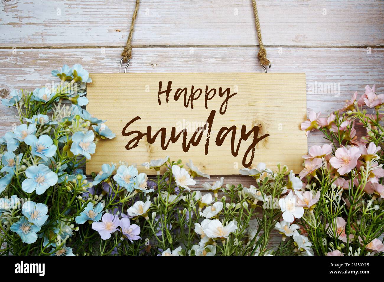 Happy Sunday text message with flowers on wooden background Stock Photo ...