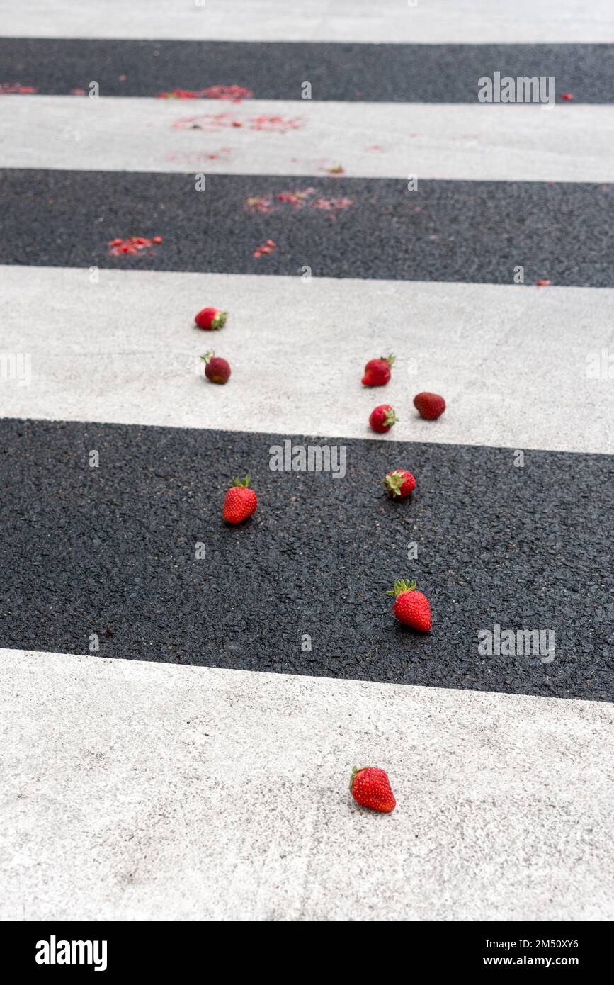 Berries scattered and squashed on a crosswalk Stock Photo - Alamy