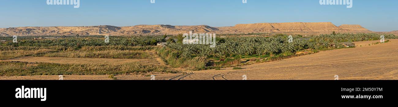 Panoramic view over remote african egyptian desert landscape with oasis ...