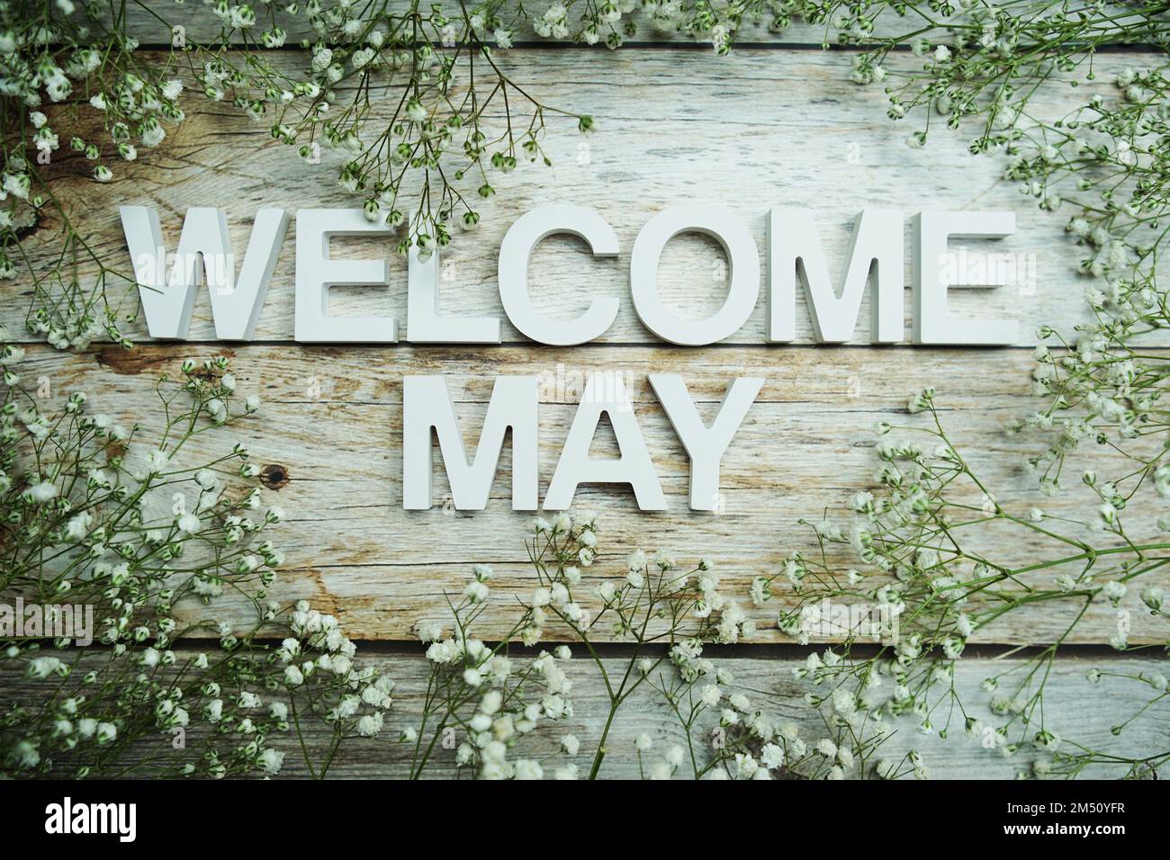 Welcome May alphabet letters with flowers on wooden background Stock ...