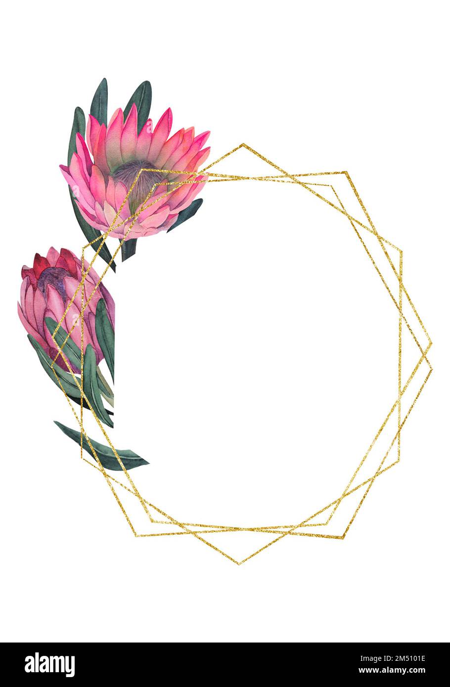 Hand painted watercolor magenta protea flowers frame with golden line ...
